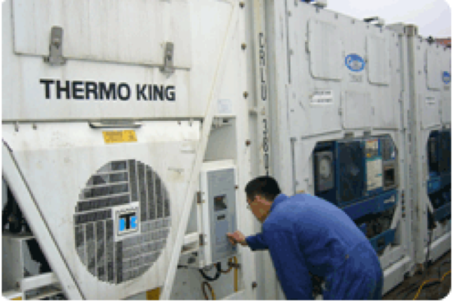 T KARE – TK Reefer